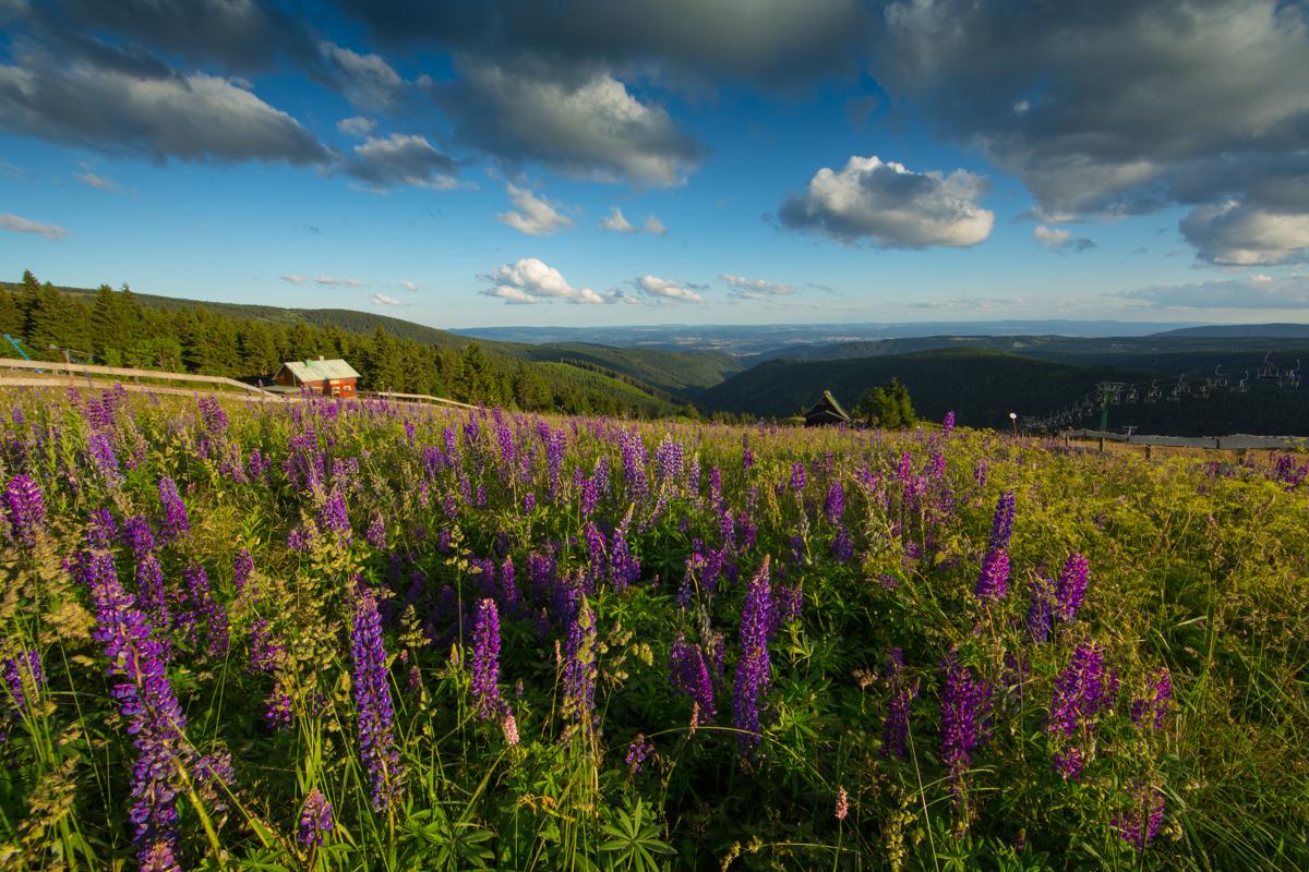 The Ore Mountains | ŽivyKraj.cz